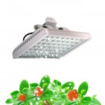 Samsung split LED business heavily to in order to save super high flux ...