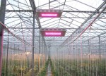 illuminator led grow lights are rising – LED Lighting Blog